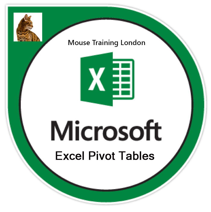 Microsoft Excel Pivot Tables Training Course - Mouse Training London Ltd
