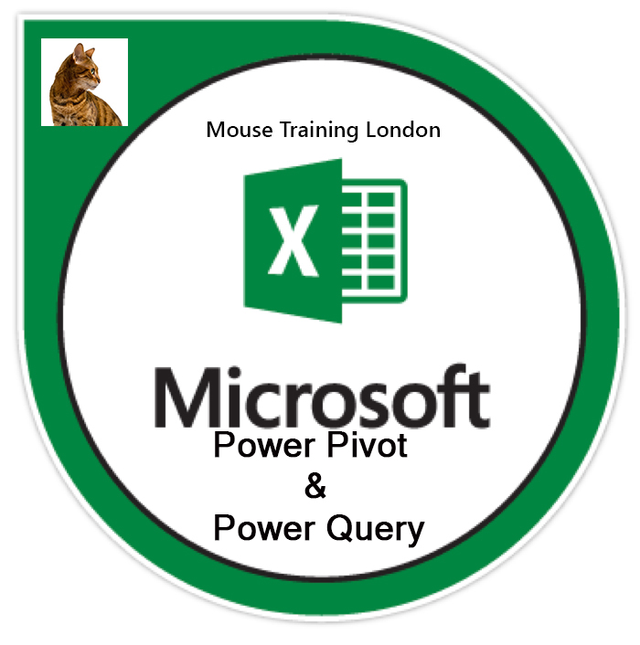 Excel Power Pivot Power View Mouse Training London Ltd