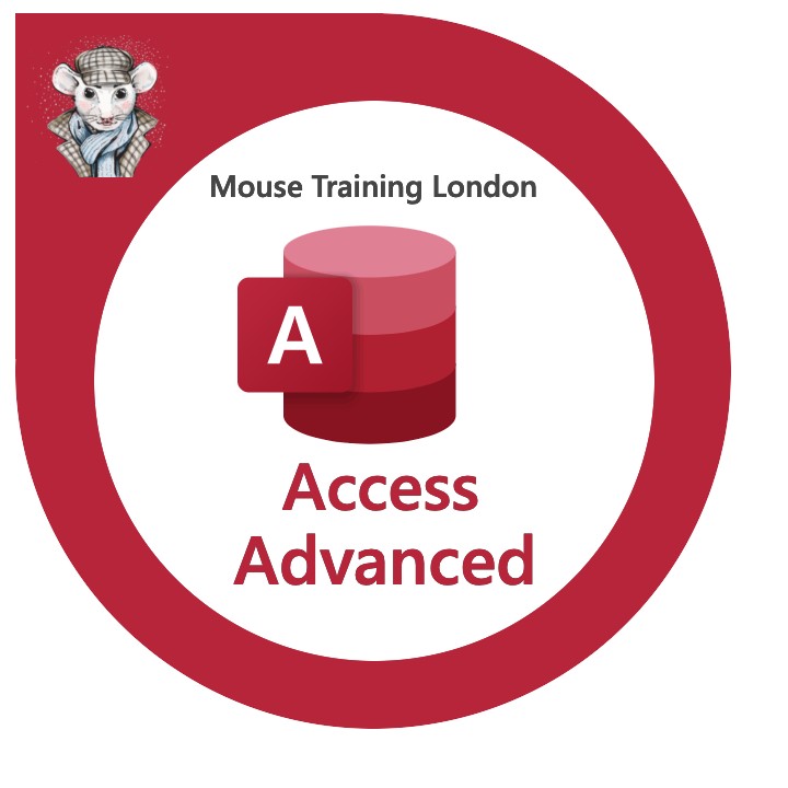 Microsoft Access Advanced Training